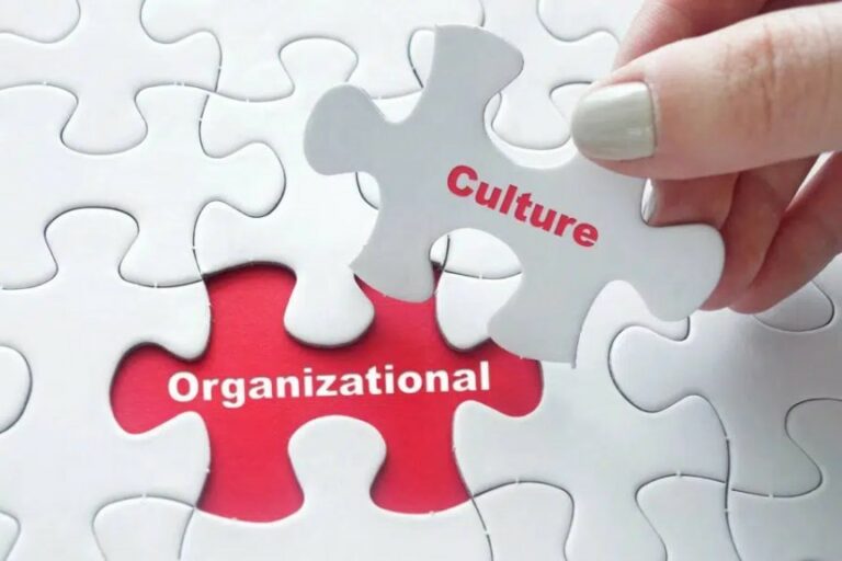 Organisational Culture Alignment / Transformation - NKULULEKO ...