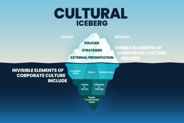 Organisational Culture Alignment / Transformation - NKULULEKO ...